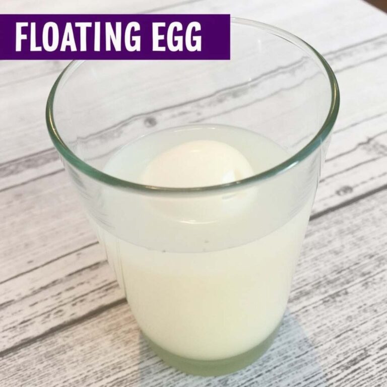 3rd Grade Science Projects | Top 12 Project Ideas & Experiments